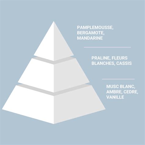 Elysées Wood – Prestige Parfums