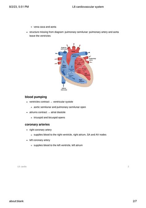 Solution L8 Cardiovascular System University Of Houston Quantitative