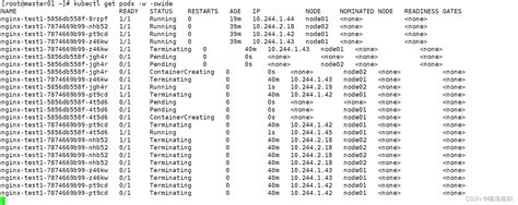 Kubernetes 服务发布方式（蓝绿发布、灰度发布和滚动发布） Csdn博客