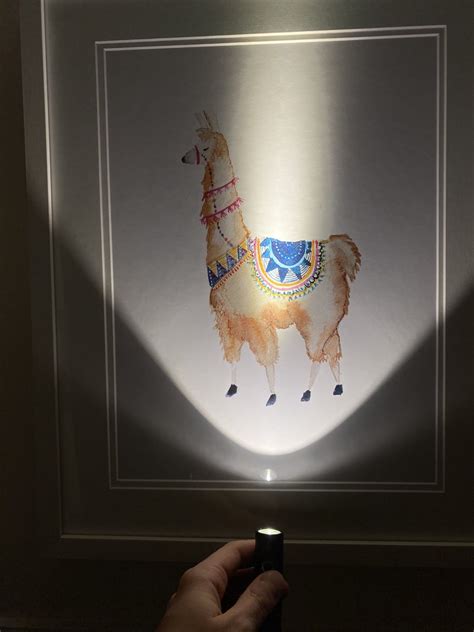 Swapped A Cree Xp P 3000k 80 Cri Into An Sc21 Mod Pics Inside R