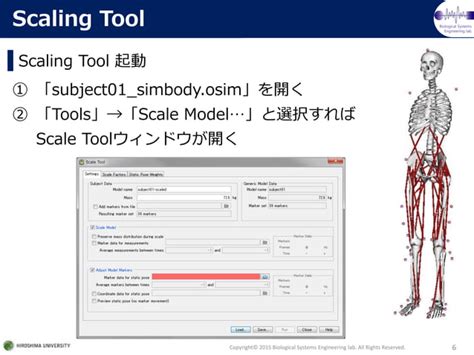 Opensim の 使い方 （scaling編） Pptx
