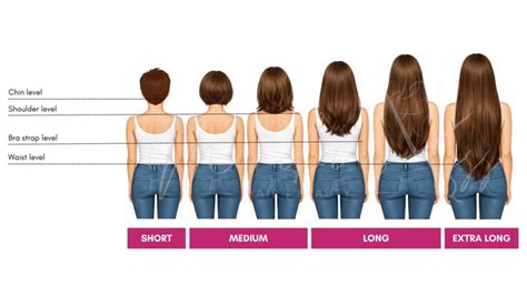 Hair Length Chart Monika Kiss Hair And Beauty
