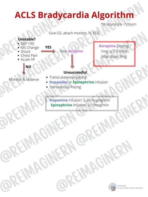 ACLS Cardiac Arrest Tachycardia Bradycardia Algorithms Etsy