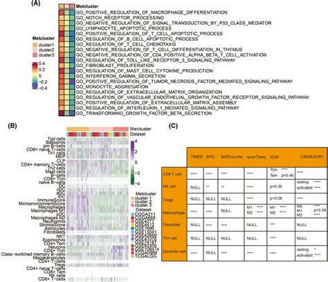 Immune‐related Functional Annotation Of Metabolic Clusters In Download Scientific Diagram