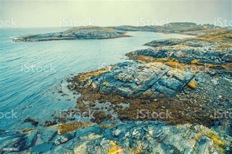 바위 해변입니다 안개 낀 아침에 대서양 해안입니다 바다 해안입니다 아름 다운 황야 노르웨이 0명에 대한 스톡 사진 및 기타 이미지 Istock