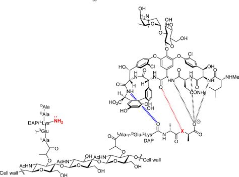 Figure 1 From Enzymatic Synthesis Of Vancomycin Modified Dna Semantic