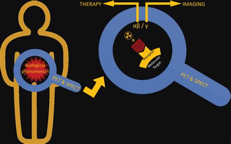 Theranostics In Nuclear Medicine Emerging And Re Emerging Integrated