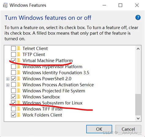Windows10安装wsl（windows Subsystem For Liunx）的一些注意事项you Have Windows