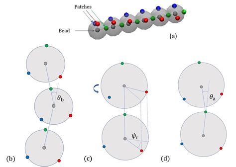 Illustration Of Monomers Endowed With Patches [ A ] And Of Potentials Download Scientific