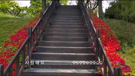 사 랑 해 요 Youtube