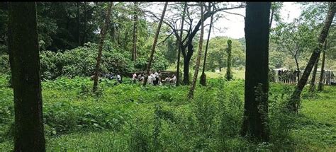 Dharmasthala Mass Grave Case Sit Recovers Bones At 6th Burial Site