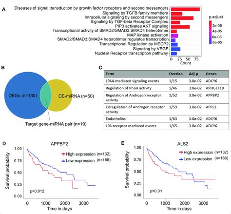 Analysis Of Mirna Between Variant And Non Variant Hccs A Bar Plot Of