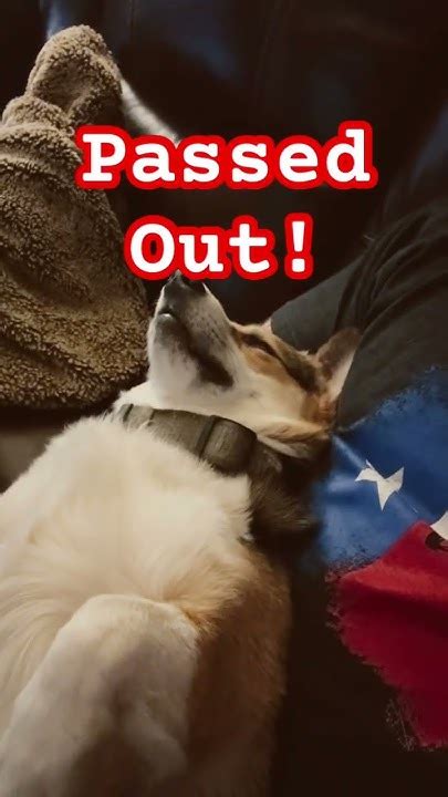 Passed Out Youtube