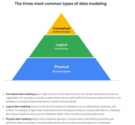 week 1 data types and structures flashcards quizlet
