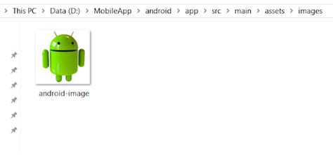 Display Image From Android Asset Folder In React Native SKPTRICKS