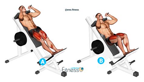 Sentadilla Hack Squat Cómo Hacerla Correctamente