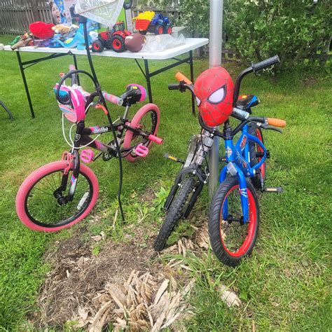 Lynn M Homer Lynn M Homer Added A New Photo