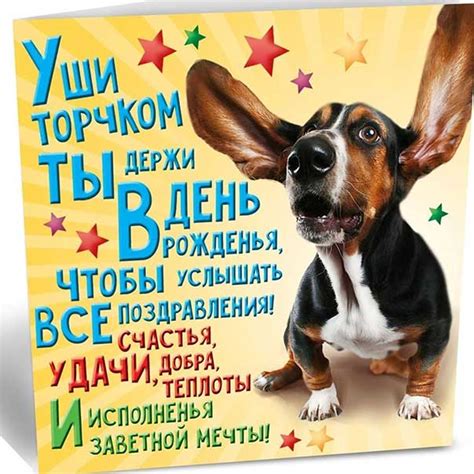 Открытка с Днем рождения Анимация к Дню рождения салют веселая картинка