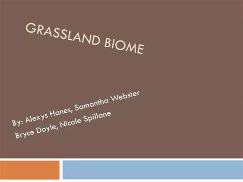 Ppt Grassland Biome Powerpoint Presentation Free Download Id2026405