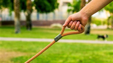 Best Ways To Burn Calories During Sex