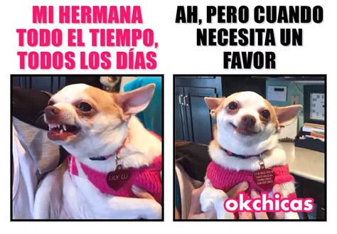 Mi Hermana Todo El Tiempo Todos Los Días Ah Pero Cuando Necesita Un