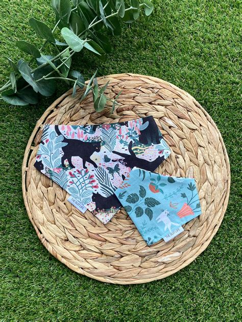 Smells Like Catnip The Suit Life