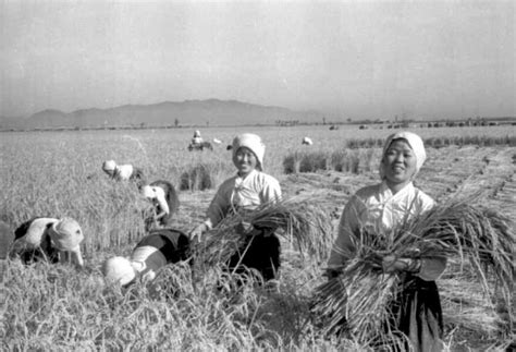 데일리 북한 신심과 의지 강조전원회의 당 결정 관철 촉구 파이낸셜뉴스