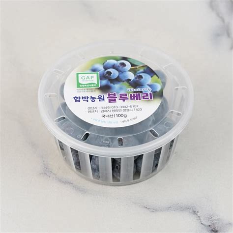 생 블루베리 100g 메가마트몰