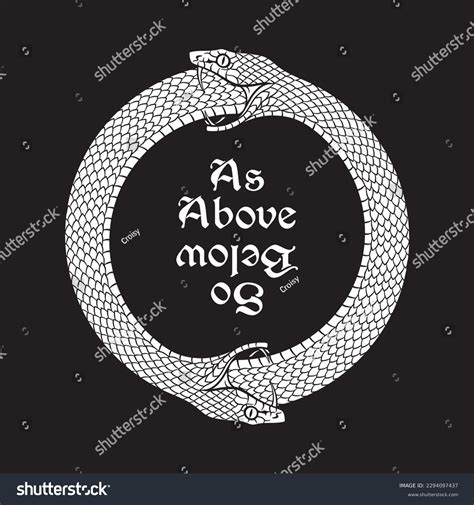 Ouroboros Uroboros Serpents Consuming Each Other Stock Vector Royalty