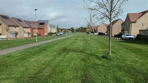 Jonathan Cranfield On Linkedin Thebngfilm Species Bng Biodiversity Mitigation Conservation…