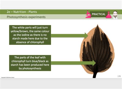 IGCSE 9 1 Ultimate Presentation Bundle