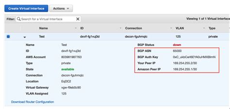 creating hosted connections from mve to aws direct connect with palo