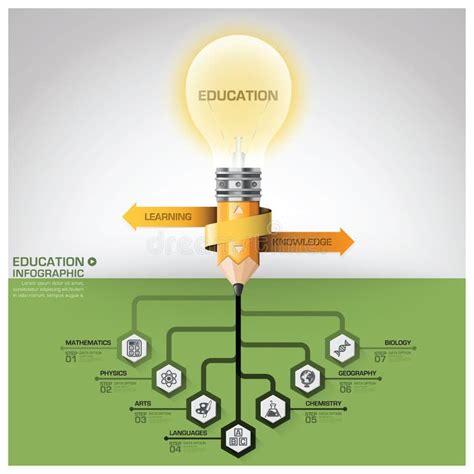 Tree Root Infographic Stock Illustrations 306 Tree Root Infographic