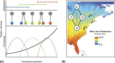 Temperature And Trophic Structure Are Driving Microbial Productivity