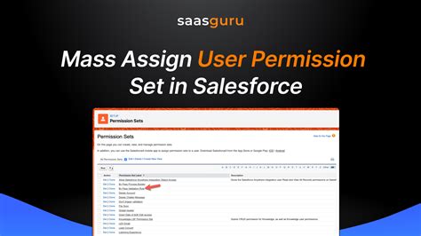 Mass Assign User Permission Set In Salesforce