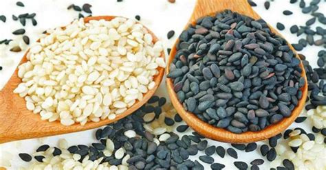 ઉત્તરાયણના દિવસે કયા તલનું દાન કરવાથી મળશે પુણ્ય જાણો તલદાનનું મહત્ત્વ Gujarat News Sandesh