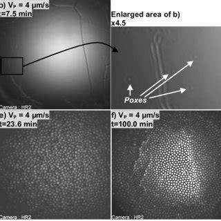 PDF Dynamical Microstructure Formation In D Directional Solidification Of Transparent Model