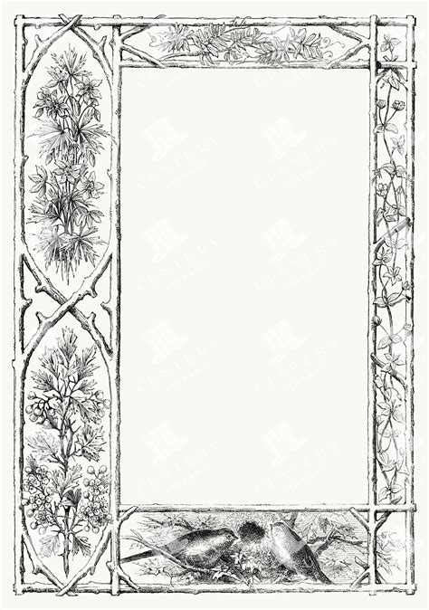 Botanical Rectangle Frame With Wildflowers Berries And Nesting Birds