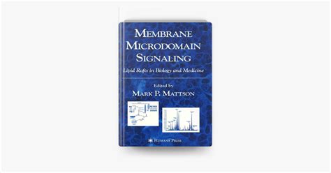 ‎membrane Microdomain Signaling On Apple Books