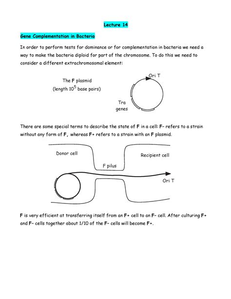 Biol 09 Complementation In Bacteria Plasmids Lecture 14 Gene