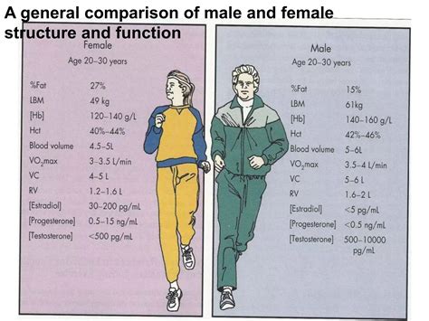 K32 Age And Sex Considerations In Exercise Pptx