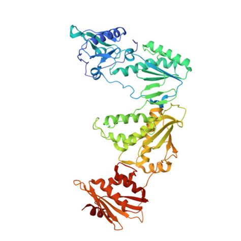 Rcsb Pdb 8u6o Crystal Structure Of Hiv 1 Reverse Transcriptase In Complex With5 2 3 Oxo 3