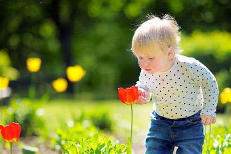 What To Do About A 3 Year Old Thats Not Talking But Understands