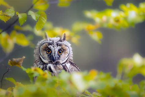 Landscape Vs Portrait Orientation In Nature Photography Nature TTL