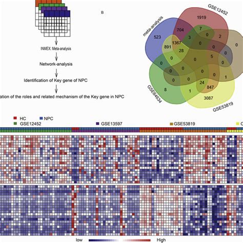 Network Based Meta Analysis Of Independent Microarray Data Sets