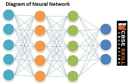 Neural Network Class 9 Notes Cbse Skill Education