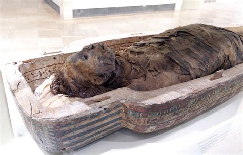 Royal Ontario Museum Mummy