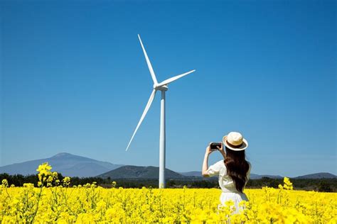 도심 탈출 3~4월에 가기 좋은 힐링 여행지 추천 힐링 여행 국내여행 주말여행