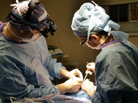 navigating the mind the complex interplay of plastic surgery and bdd