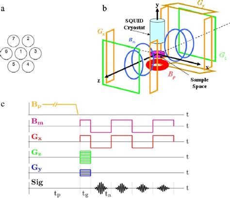 A Arrangement Of The 7 Squid Gradiometers B Magnetic Field Download Scientific Diagram